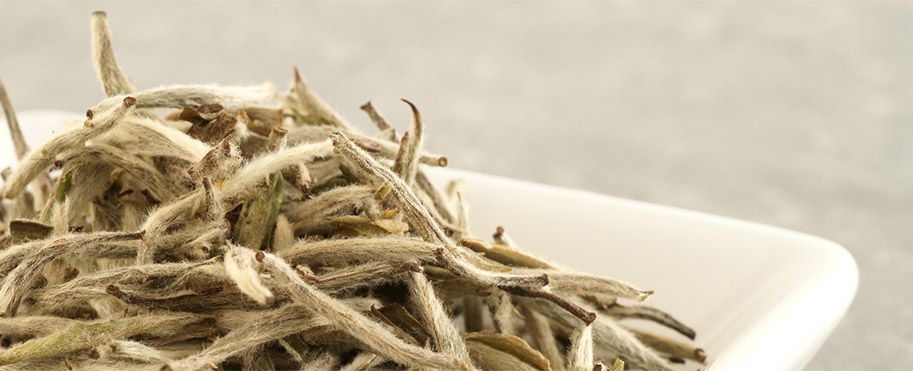 Weißer Tee | Abraham's Tea House